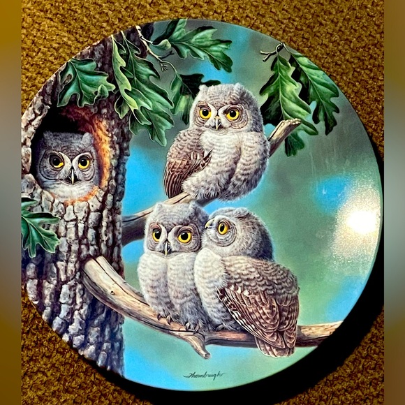 Vintage | Art | Vintage Screech Owl Plate Limited Edition Peekawhoo By ...